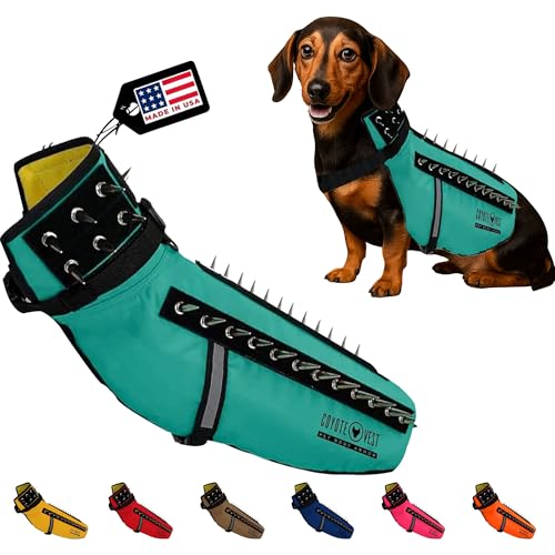 Dog Spike Vest – The 15 best products compared - Wild Explained