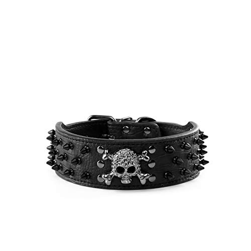 Migliori Collare Per Cani Con Borchie (con Recensioni) | Canissimo.it