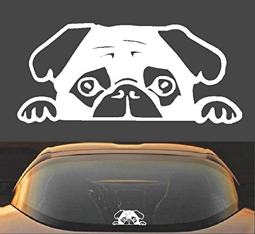 Amazon.com: Peeking Pug Funny Vinyl Decal Sticker : Arts, Crafts & Sewing