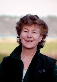 Amazon.co.uk: Catherine Gill: books, biography, latest update