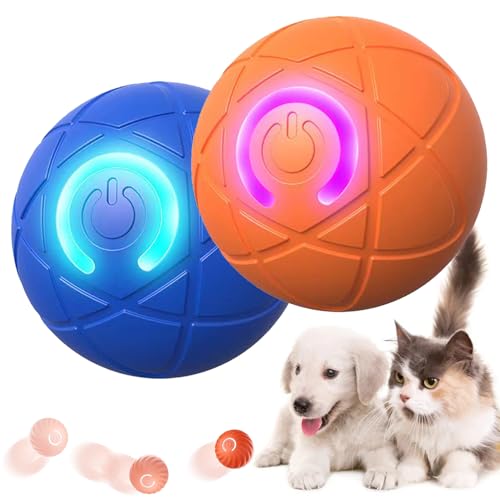 10 Best Smart Ball For Dogs