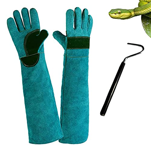 Top 10 Snake Bite Proof Gloves of 2022 - Katynel