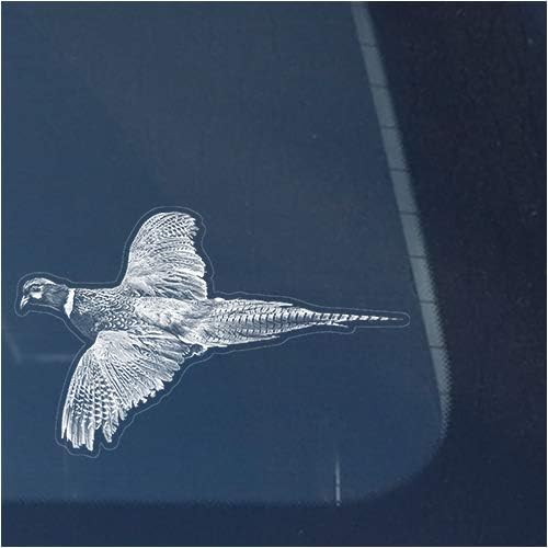 Amazon.com: Pheasant Vinyl Decal Sticker for Window, Flying Bird ...