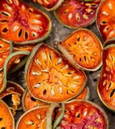 Cloud Farm Bel Tree, Bilva Patra, Bel Patra (Grown through seeds ...