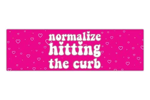 Amazon.com: Normalize Hitting The Curb Y2K Pink Aesthetic Funny Gen Z ...