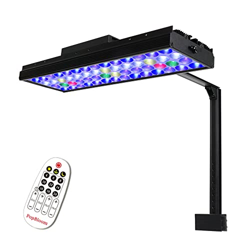 Meilleure Rampe Led Recifal : Test, Avis, Comparatif Novembre 2023