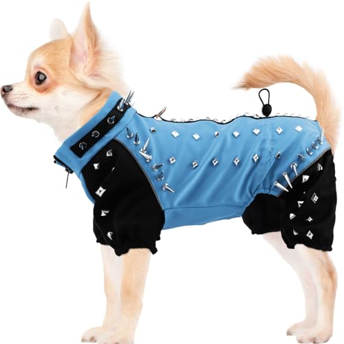 Dog Spike Vest – The 15 best products compared - Wild Explained