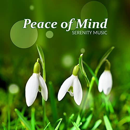 Peace of Mind: Serenity Music – Soothing Music for Relaxation, Destress ...