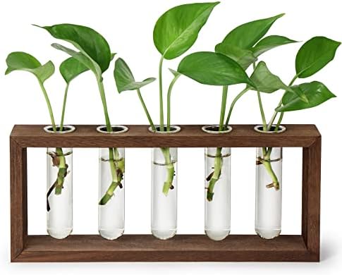 THYGIFTREE Wall Mounted Propagation Tubes,Hanging Plant Propagation ...
