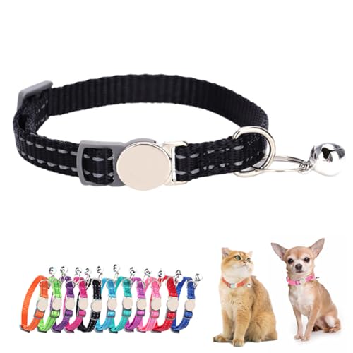 10 Best Breakaway Dog Collar [2025]