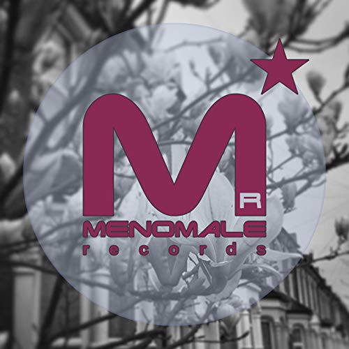 Amazon.com: Menostar, Vol. 28 : VARIOUS ARTISTS: Digital Music