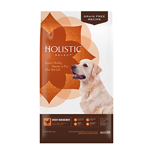 Revamp Your Pooch's Diet with the Top 10 Best Holistic Select Dog Foods ...
