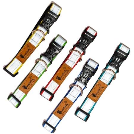 Buy Pawsitivity Reflective Dog Collar for Strays with Wide Reflective ...