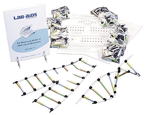 Lab-Aids Science Classroom Modelos moleculares de ADN y su kit de ...