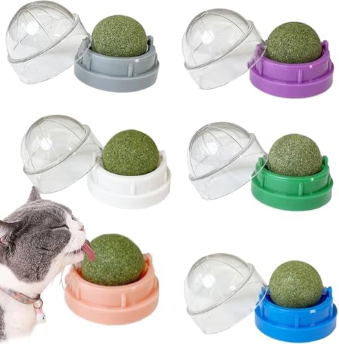 Pack of 6 Catnip Balls, Catnip Ball Wall, Brush Your Cat's Teeth and Protect Your Stomach, Cat ...
