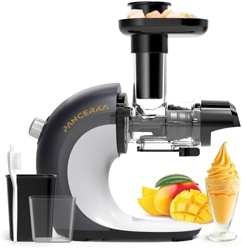 Frozen Fruit Sorbet Maker - Soft Ice Cream Maker for Healthy Vegetarian ...