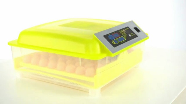 Watch Egg incubator Installation instructions on Amazon Live