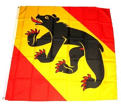Fahne/Flagge Schweiz - Kanton Bern NEU 150 x 150 cm : Amazon.de: Sport ...