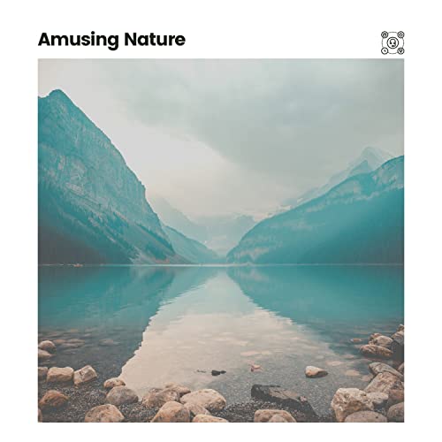 Play Amusing Nature by The Nature Soundscapes, Zen Garden Secrets ...