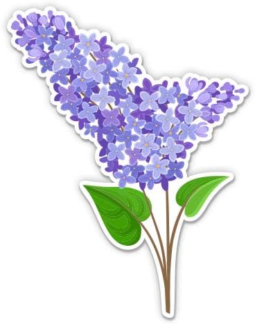 Amazon.com - Lilac Flower Bloom Spring - 3" Vinyl Sticker - for Car ...