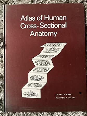 Atlas of Human Cross-sectional Anatomy: 9780812108903: Books - Amazon.ca