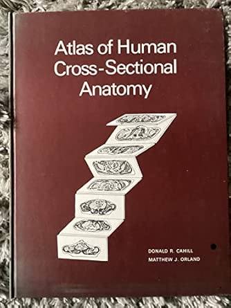 Atlas of Human Cross-sectional Anatomy: Buy Online at Best Price in ...