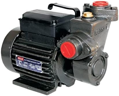 KALSI SUPER STAR Self Priming Monoblock Pumps 1 HP : Amazon.in: Garden ...
