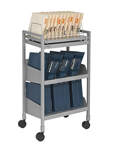 Carstens Flexfit Mobile Chart Rack, 2 Shelf, Narrow, - Want It All