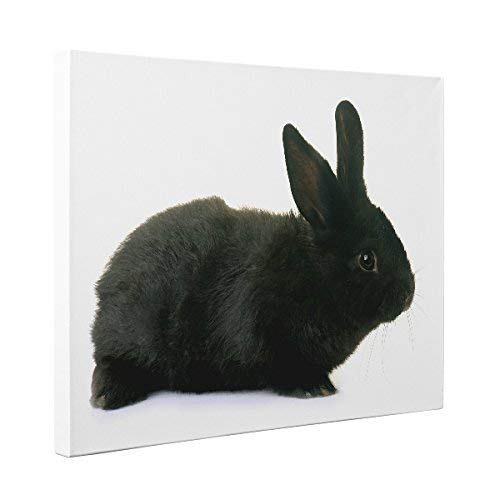 Amazon.com: Black Bunny CANVAS Wall Art Nursery Décor : Handmade Products