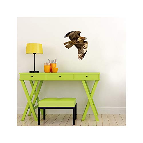 Amazon.com: Red Tailed Hawk Wall Decal - 12.6" wide x 15" tall : Tools ...