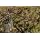 Korum Camo Running Rig Kit (4 Pieces) - Size: Small : Amazon.de: Sports ...