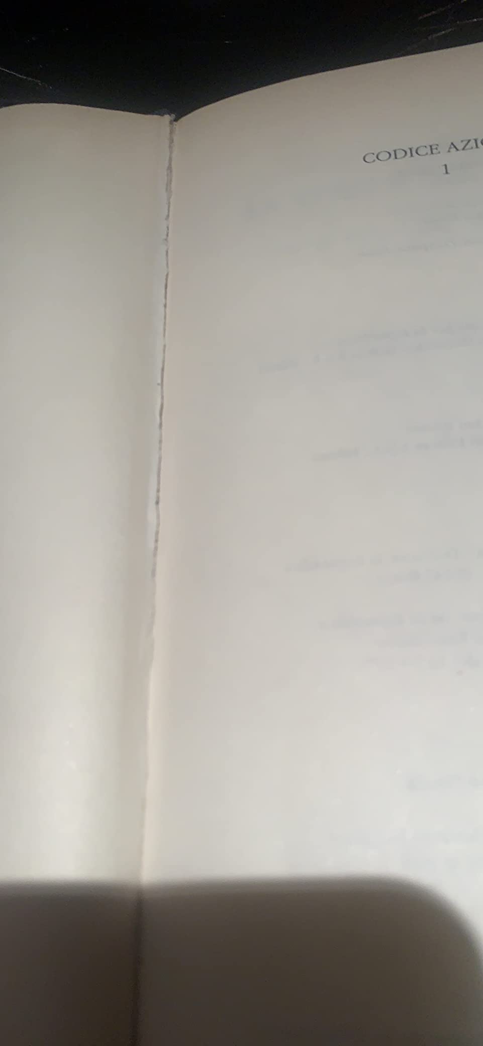 La verità del ghiaccio : Brown, Dan, Frezza Pavese, Paola, Pavese ...