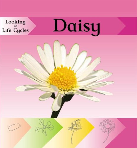 Daisy (Looking at Life Cycles): Huseby, Victoria: 9781599201795: Amazon ...