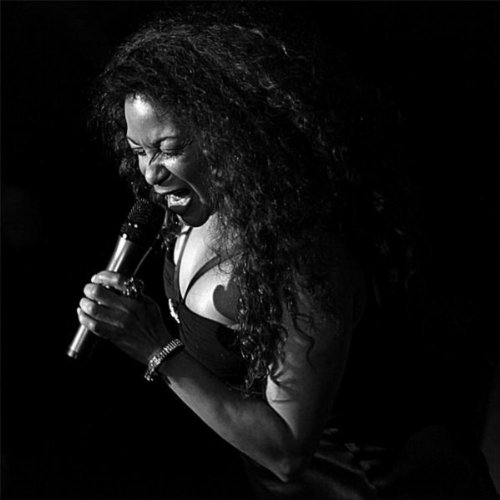 Amazon.com: Never Give in, Never Give Up : Vanda Guzman: Digital Music