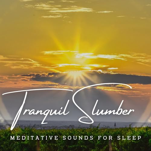 Écouter Tranquil Slumber: Meditative Sounds for Sleep par Sleep Time ...