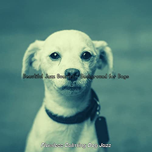 Beautiful Jazz Quartet - Background for Dogs de Flawless Calming Dog ...