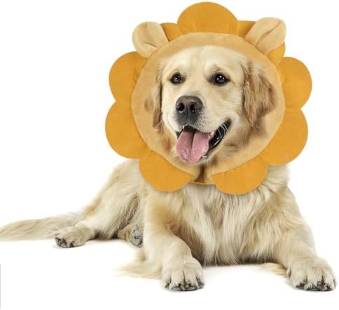 Kerry Nichols's Amazon Page