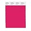 PANTONE Smart 18-1663X Color Swatch Card, Chinese Red - House Paint ...