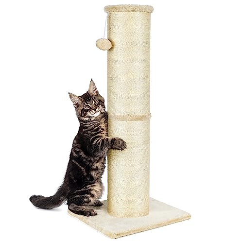 Find The Best Sisal Cat Scratching Post Reviews & Comparison - Katynel