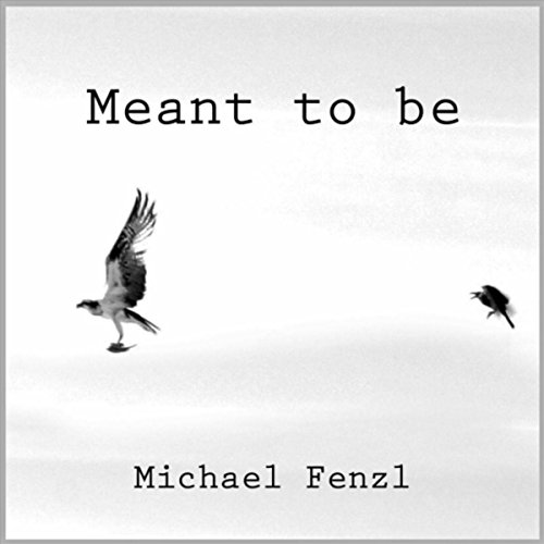 Play Meant to Be by Michael Fenzl on Amazon Music