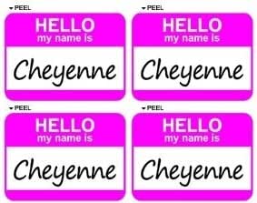 Amazon.com - Hello My Name Is Cheyenne - Sheet of 4 - Window Bumper ...