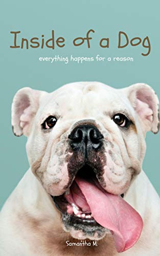 Do Dogs Understand English Or Tone Of Voice