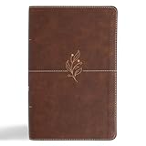 ・ブランド:Holman Bibles・製造元:Holman Bible Publishers