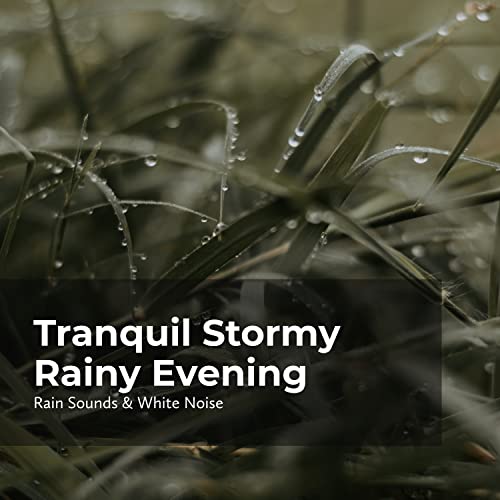 Amazon.com: Tranquil Stormy Rainy Evening : Rain Sounds & White Noise & Raindrops Sleep & Sleep ...