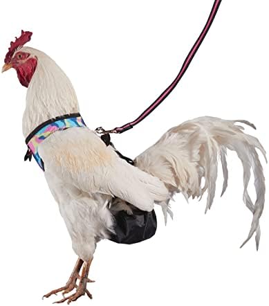 Amazon.com : Valhoma Chicken Harness "Hen Size" - PLUS 6 FT Matching ...