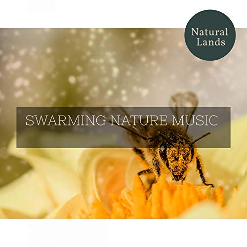Play Swarming Nature Music by Eugene Robert on Amazon Music