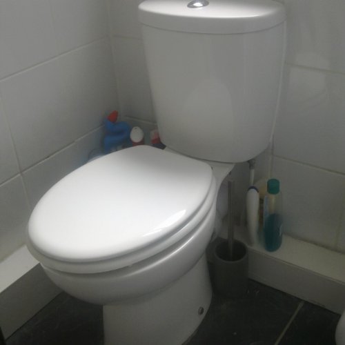 Flushing Toilet Sample (Copyright Free Sample) - Single : The Copyright ...