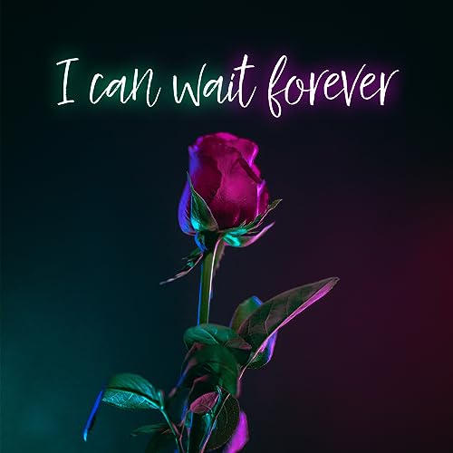Amazon MusicでVARIOUS ARTISTSのI can wait foreverを再生する