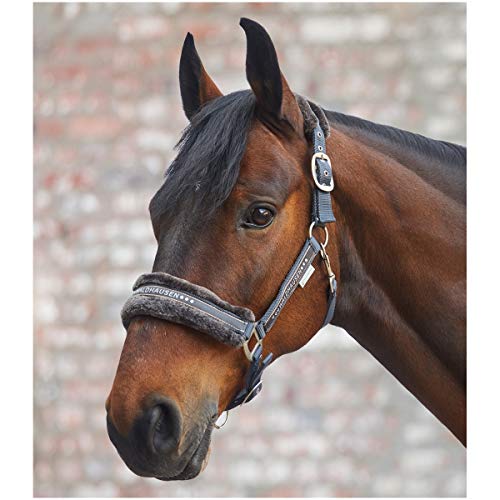 Die 16 besten Pferdehalfter - Haustierratgeber Ratgeber