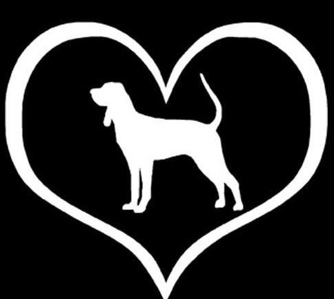 10 Best Coon Dog Boxes for Trucks [2025]